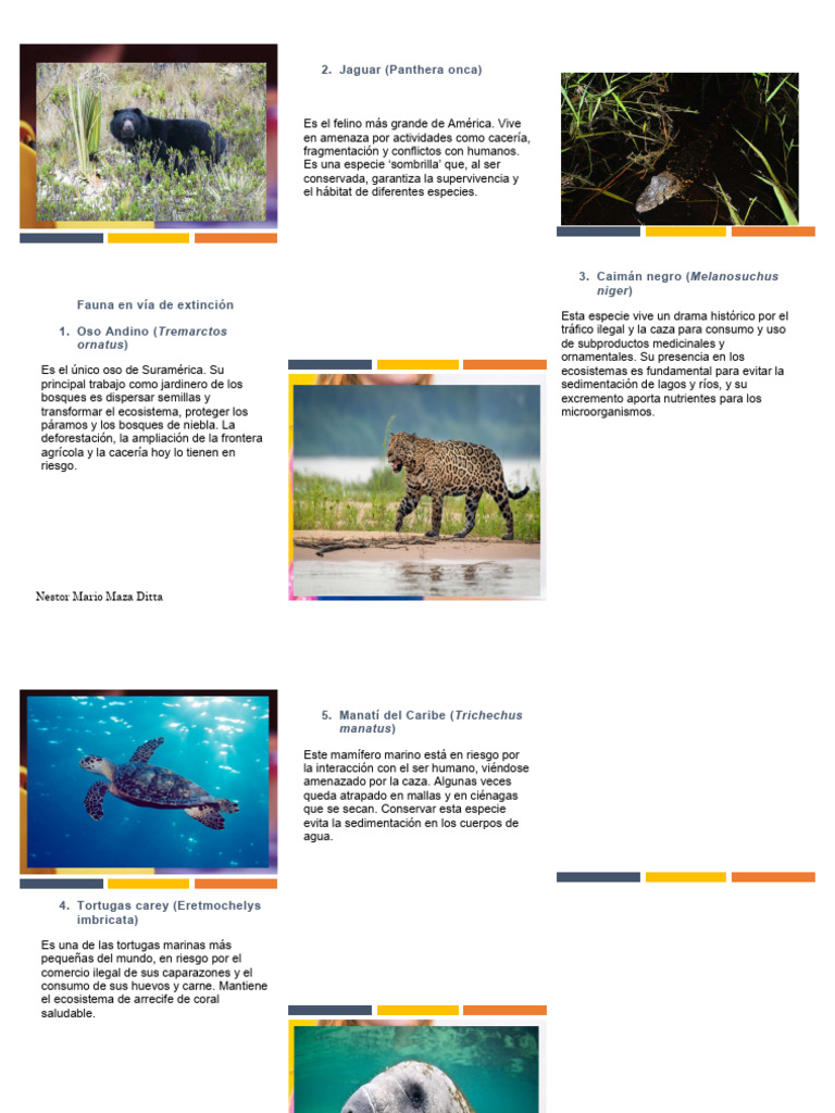 Floravía: Especies en Peligro | PDF | Deforestación | Entorno natural