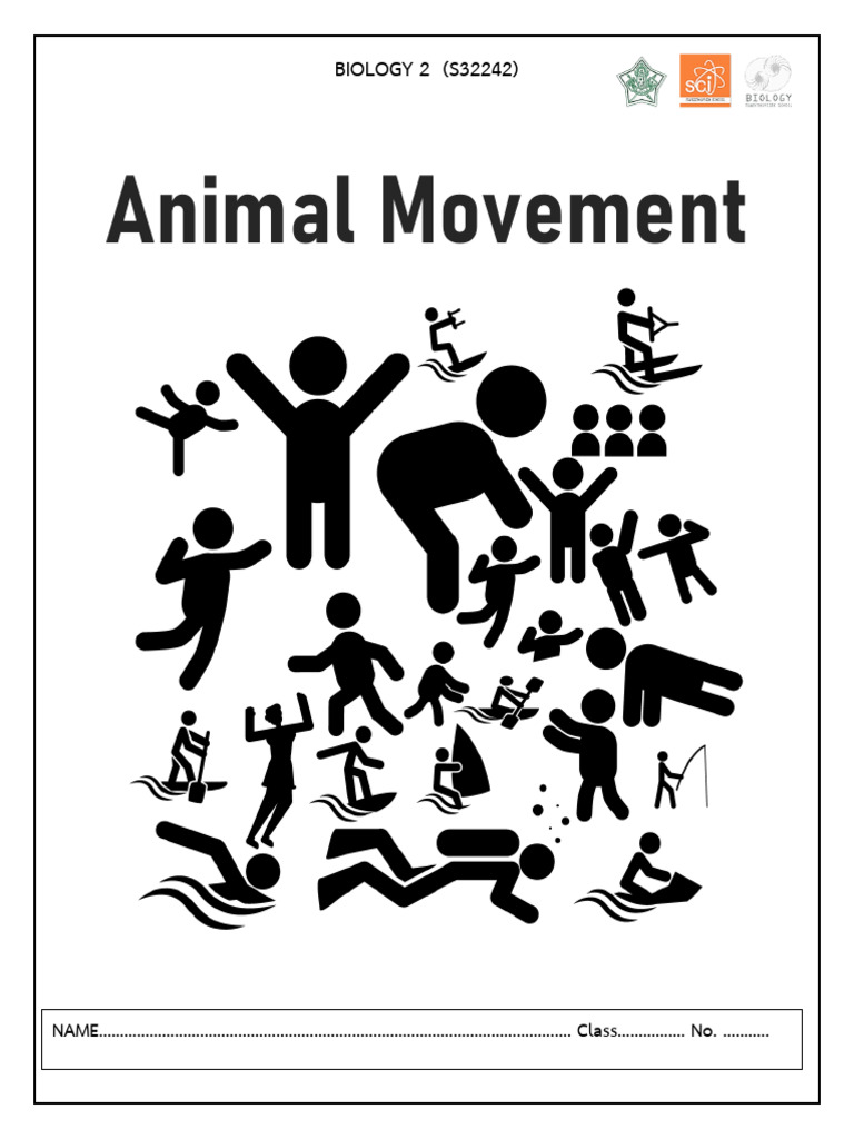05 Worksheet Animal Movement | PDF