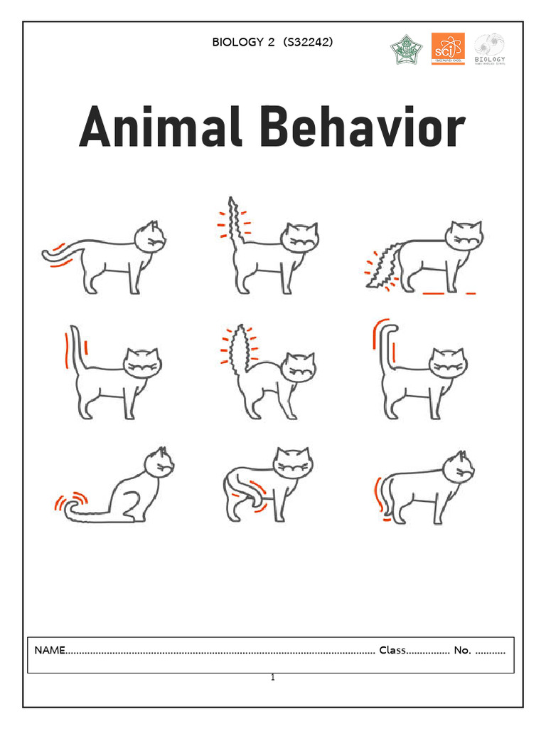 07 worksheet Animal Behavior | PDF