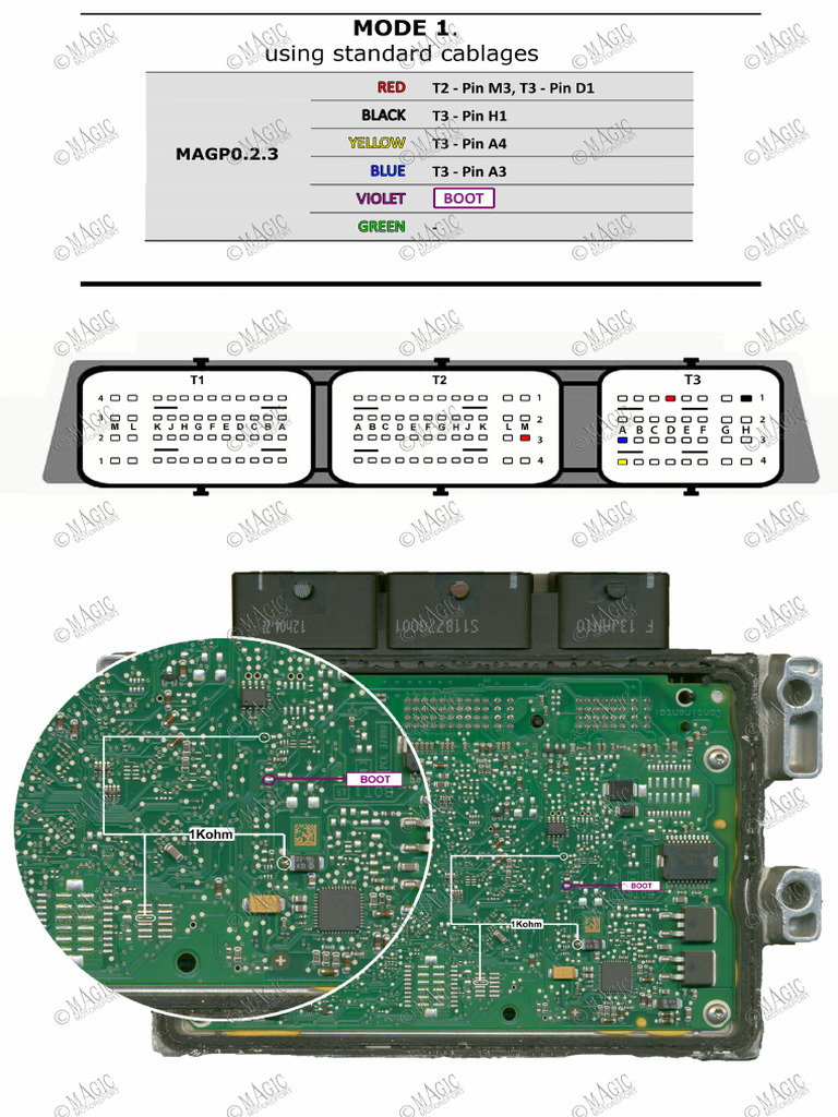 RENAULT_SIEMENS_EMS3110_TC1766 | PDF