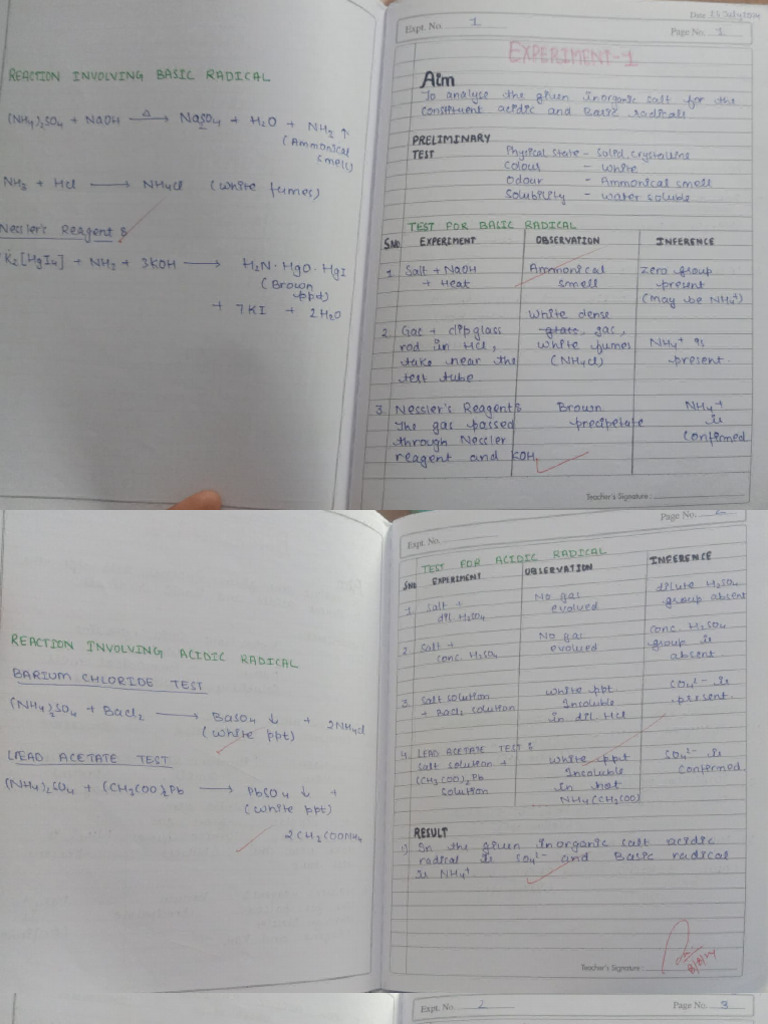 12th Practicals | PDF