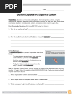Designing Your Digestive System | PDF | Digestion | Small Intestine