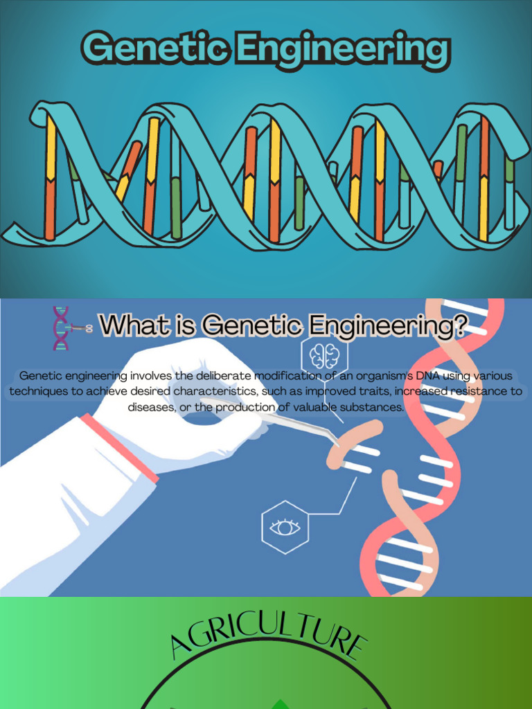 Genetic Engineering - PPT | PDF | Cloning | Genetic Engineering
