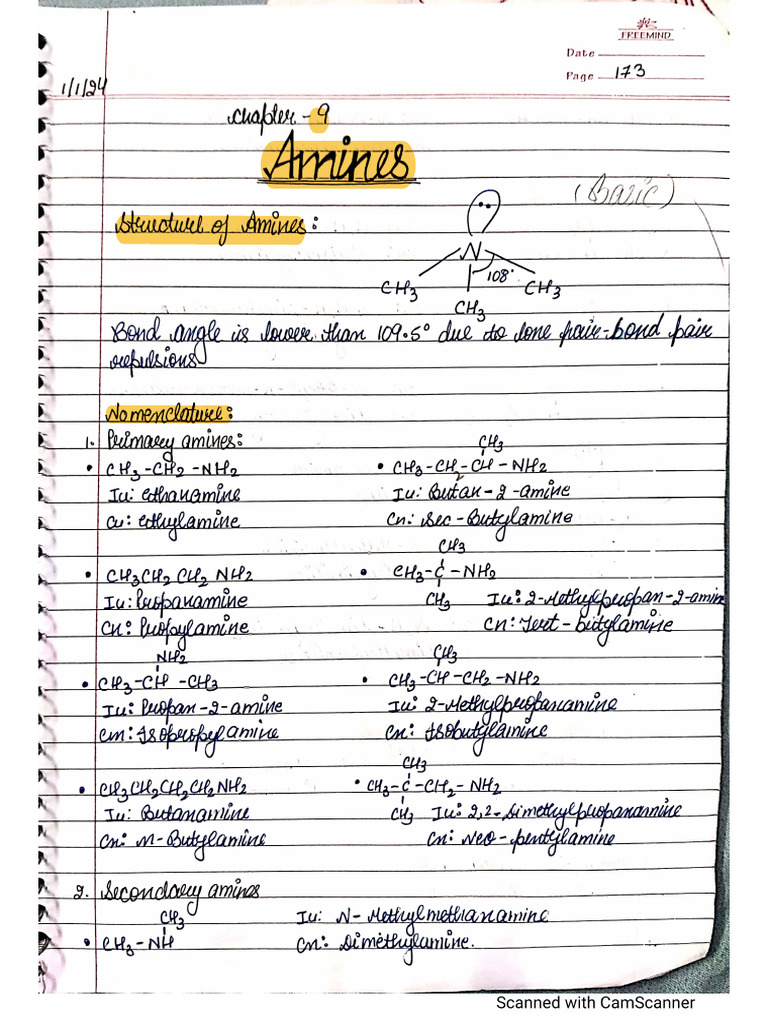 Amines | PDF