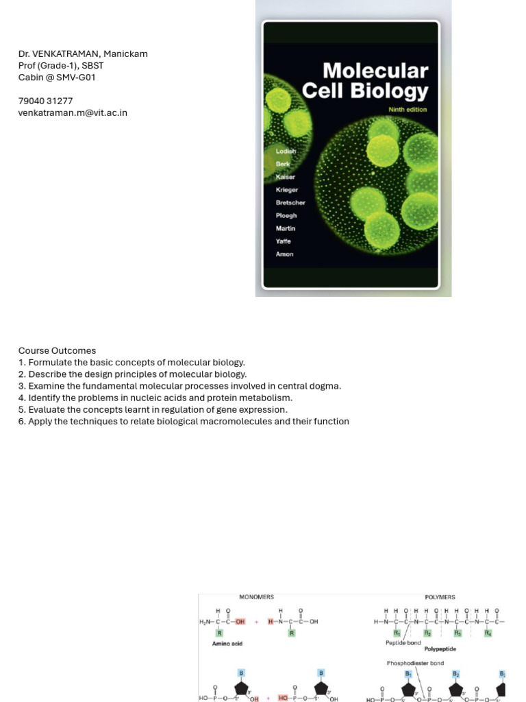 1-Genome Organisation-22-07-2024 | PDF | Nucleotides | Dna