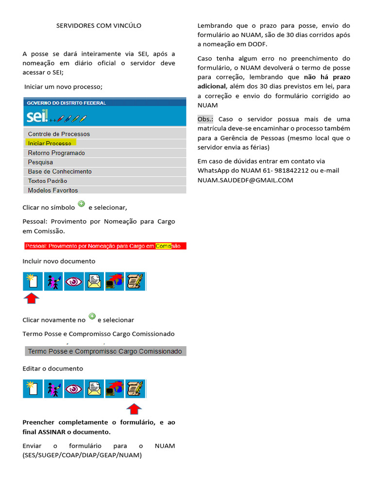 Modelo Comissionados Com Vinculo | PDF