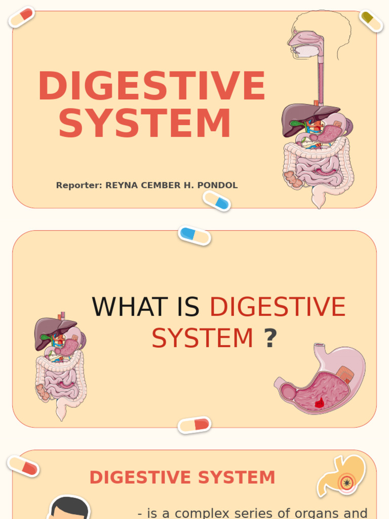 Understanding the Digestive System | PDF | Human Digestive System | Stomach