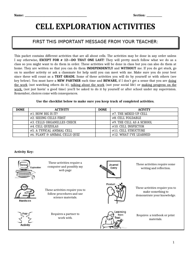 Cell Exploration Activities Guide | PDF | Endoplasmic Reticulum | Organelle