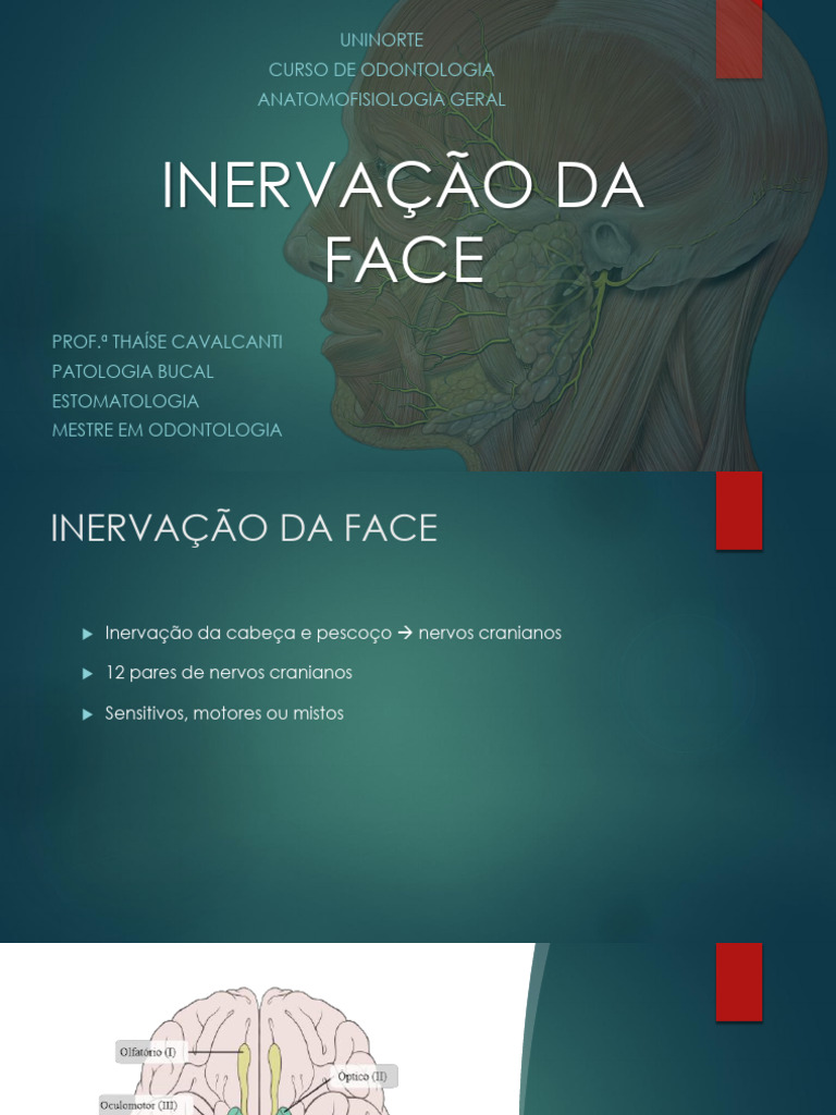 Inervação da Face: Nervos Cranianos | PDF