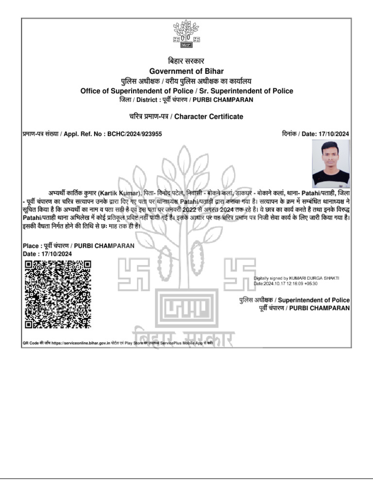 BCHC 2024 923955 | PDF