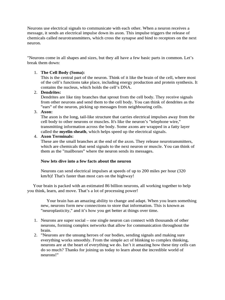 Neuron Biology Exhibition | PDF | Neuron | Axon