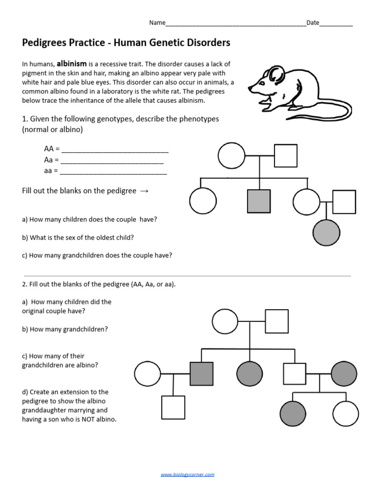 Pedigrees Practice - Human Genetic Disorders Bio Workshop | PDF