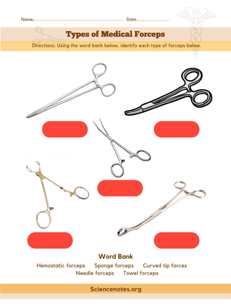 Types-of-Medical-Forceps-Worksheet | PDF