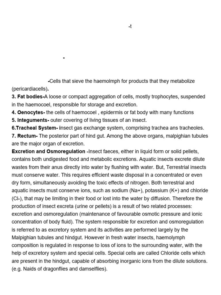 Insect Osmoregulation and Excretion | PDF | Excretion | Chloride