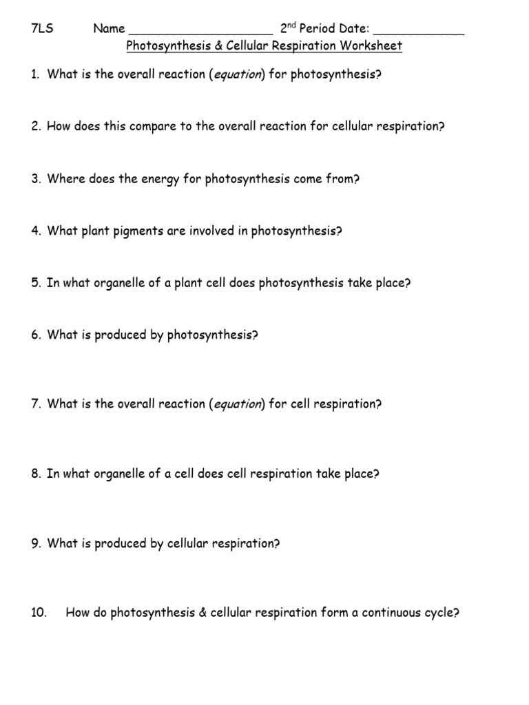photosynthesis cellular respiration | PDF | Photosynthesis | Cellular ...