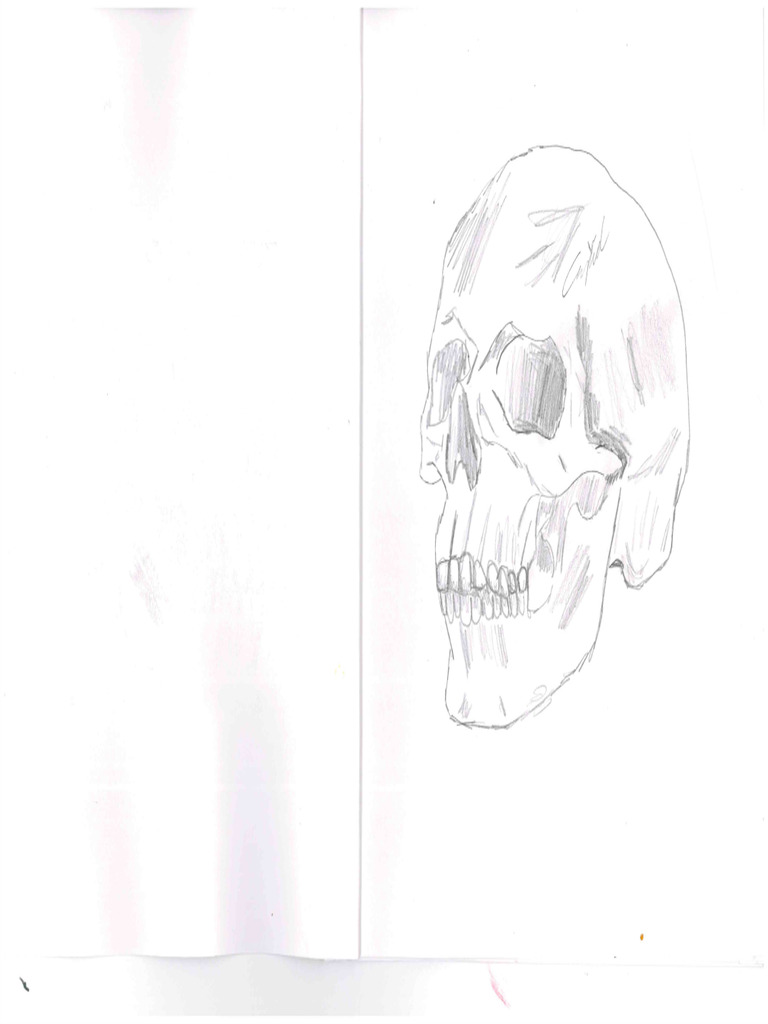 Album Cover Drawings | PDF