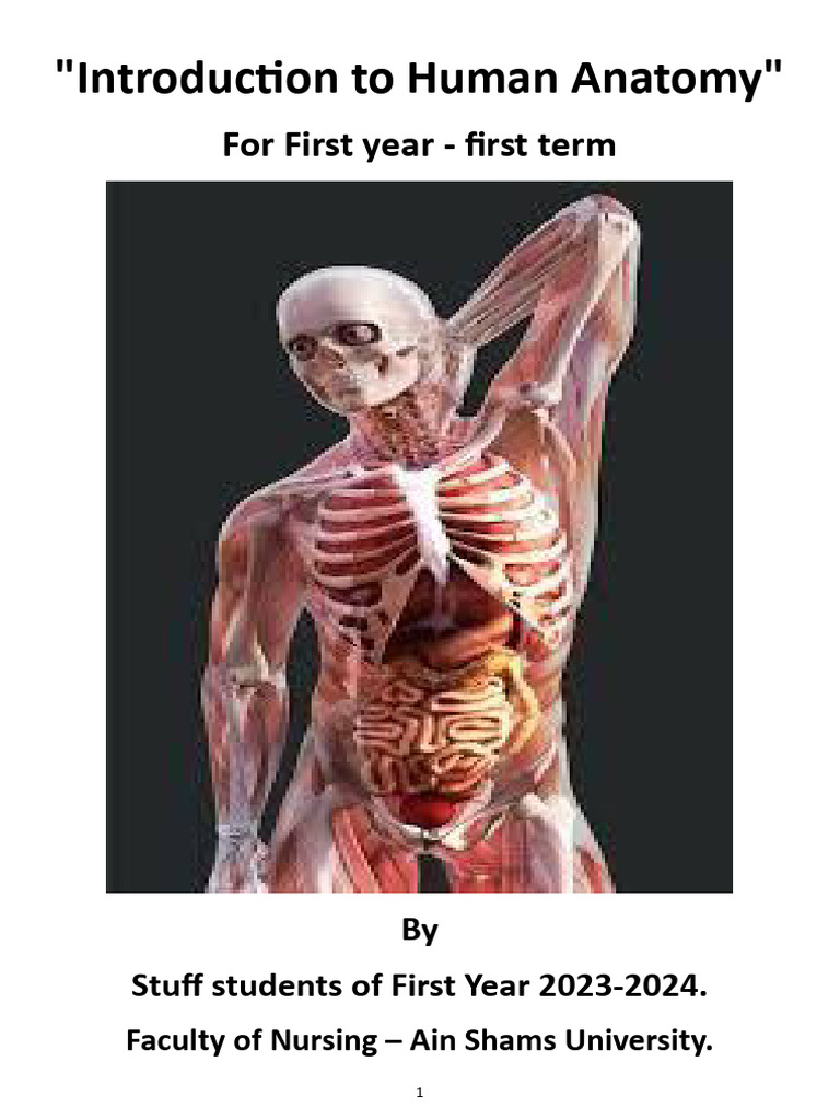 Introduction to Human Anatomy Basics | PDF | Anatomical Terms Of Motion ...