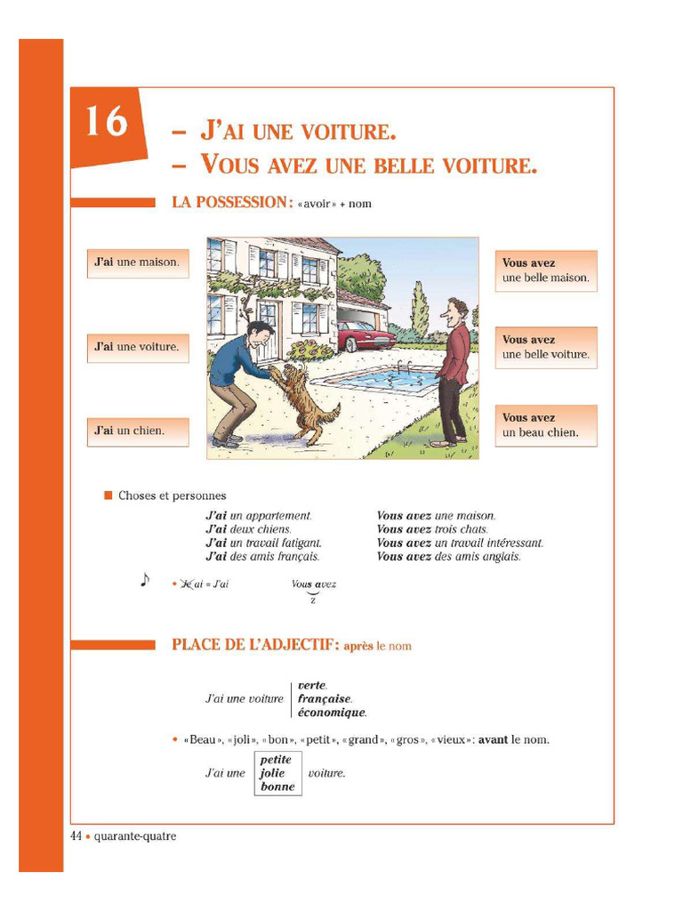 La Possession, Le Verbe Avoir 44,45 | PDF