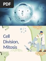 Mitosis Mover Webquest Bioman PDF | PDF | Mitosis | Chromosome