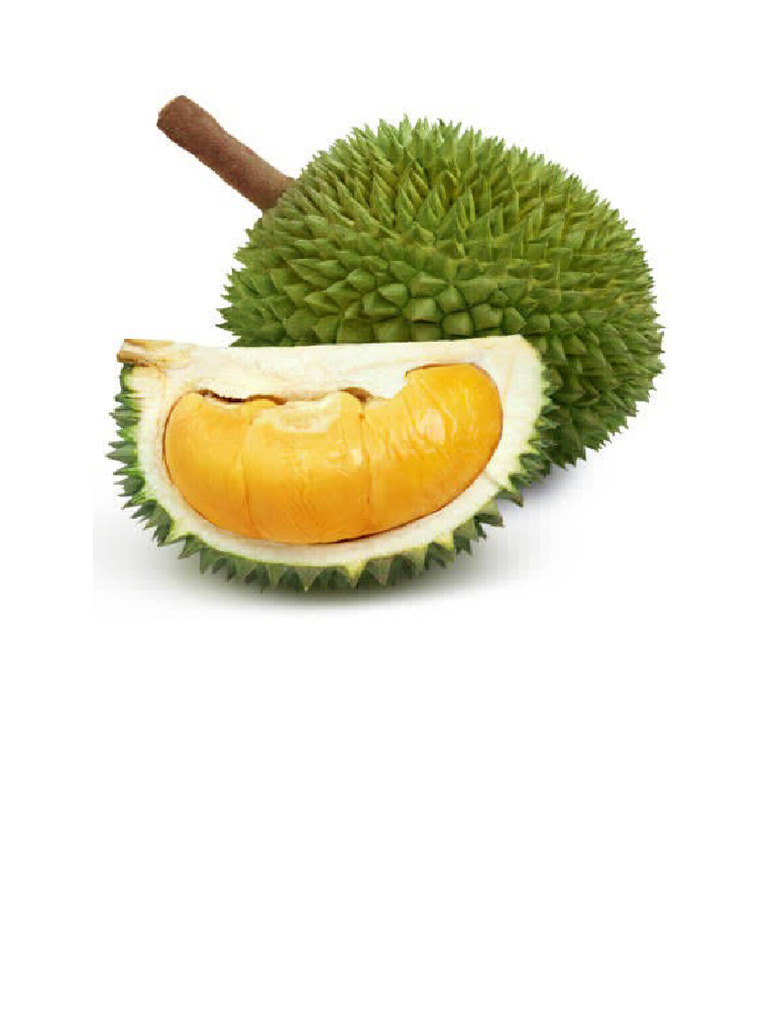 Durian | PDF