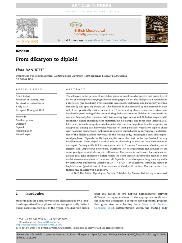 Dikaryon and Diploid in Fungi | PDF | Ploidy | Biology