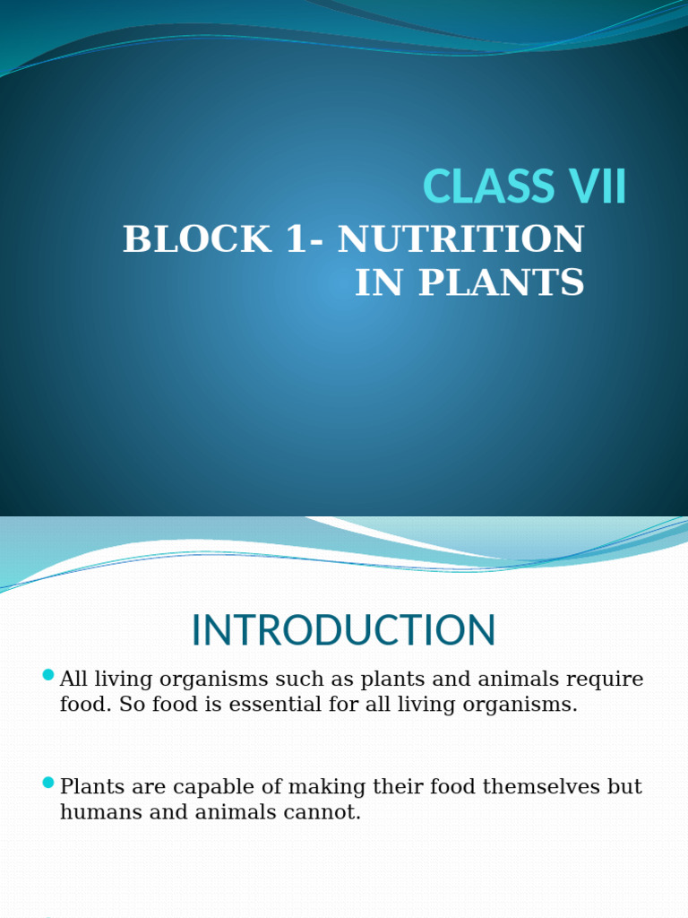 Nutrition Modes In Plants Explained Pdf Nutrition Diet Nutrition