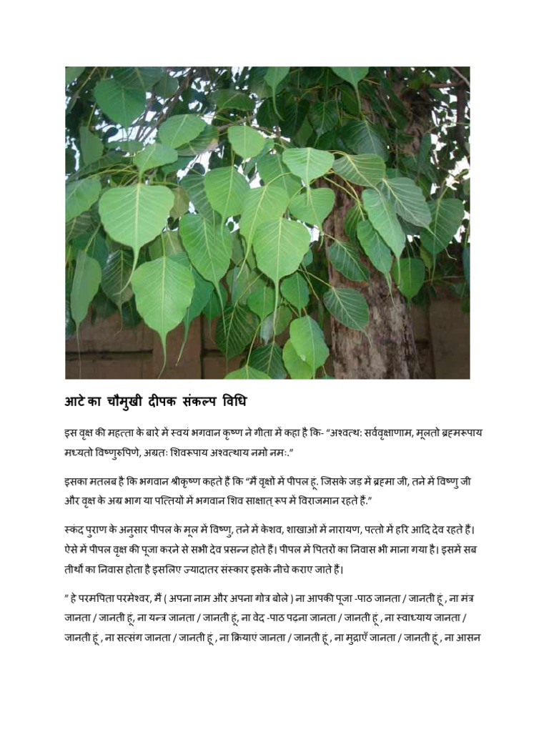 Guruwar Peepal Tree Pooja | PDF