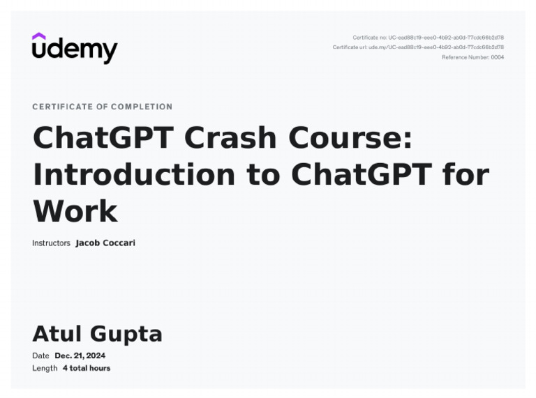 Chat GPT Crash Course | PDF