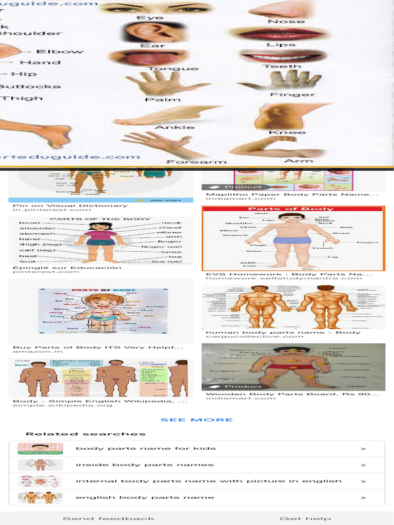 Body Parts - Google Search | PDF