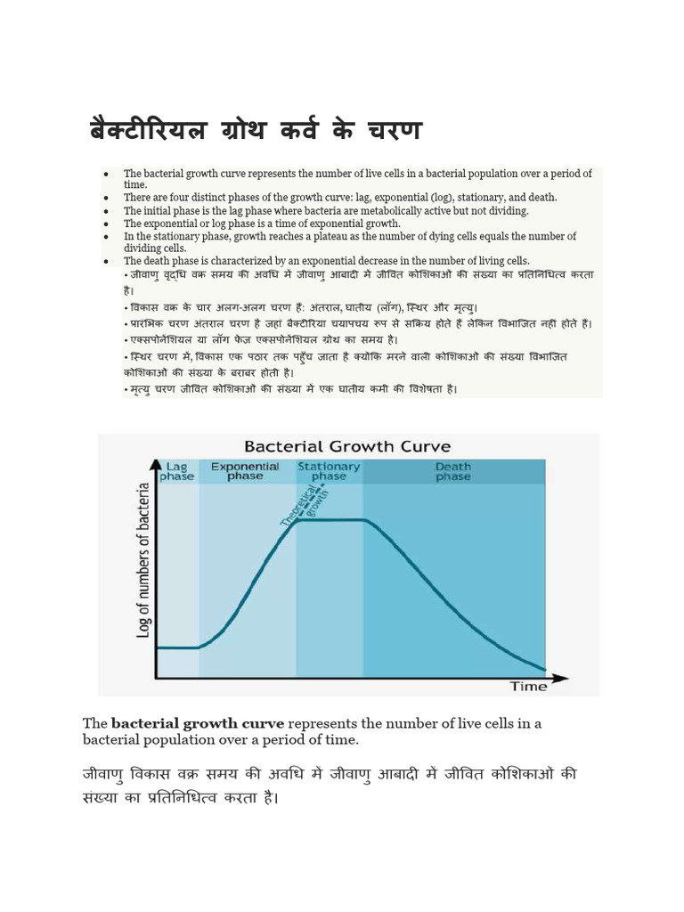 7.phases of The Bacterial Growth Curve | PDF