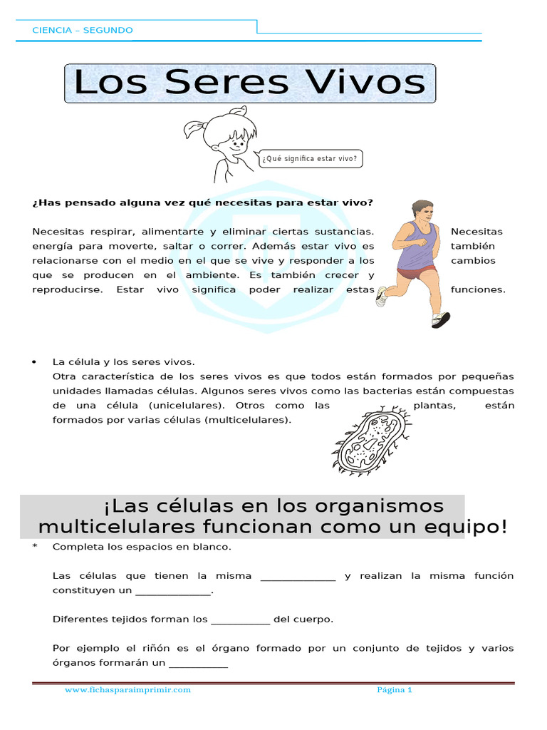 Seres Vivos | PDF | Organismos | Plantas