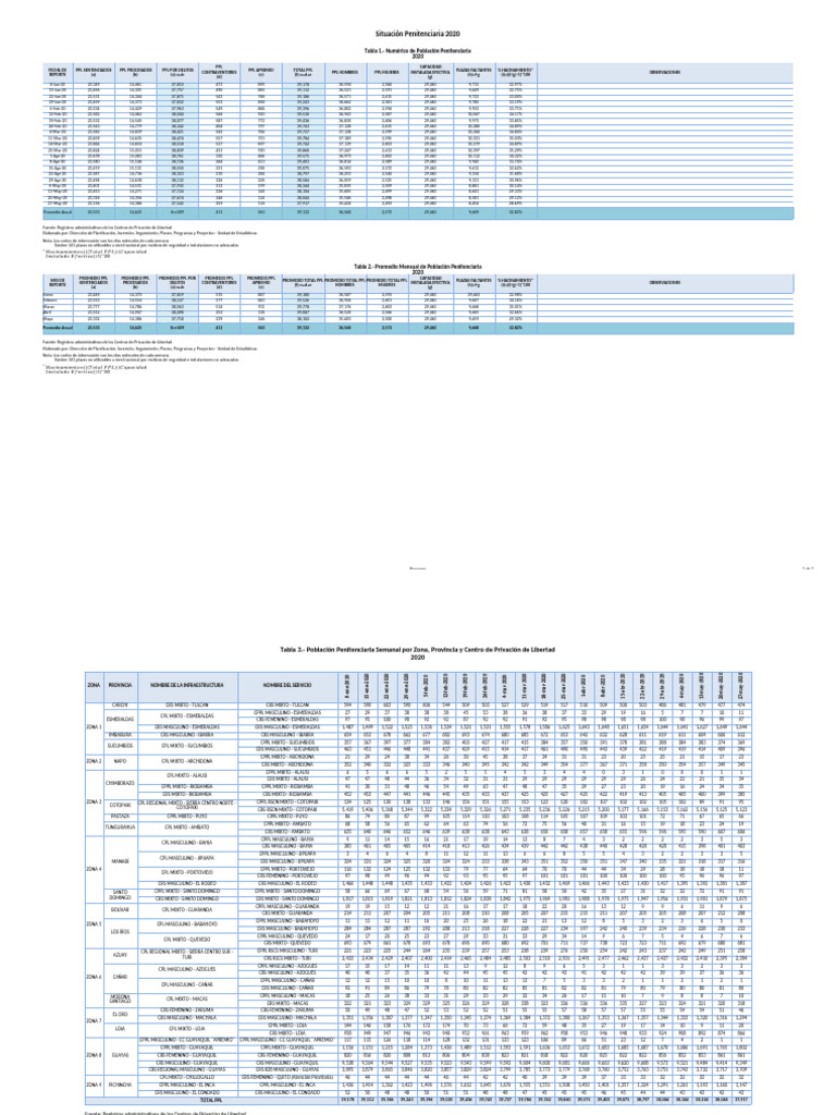 Reporte Mensual PPL Mayo 2020 | PDF