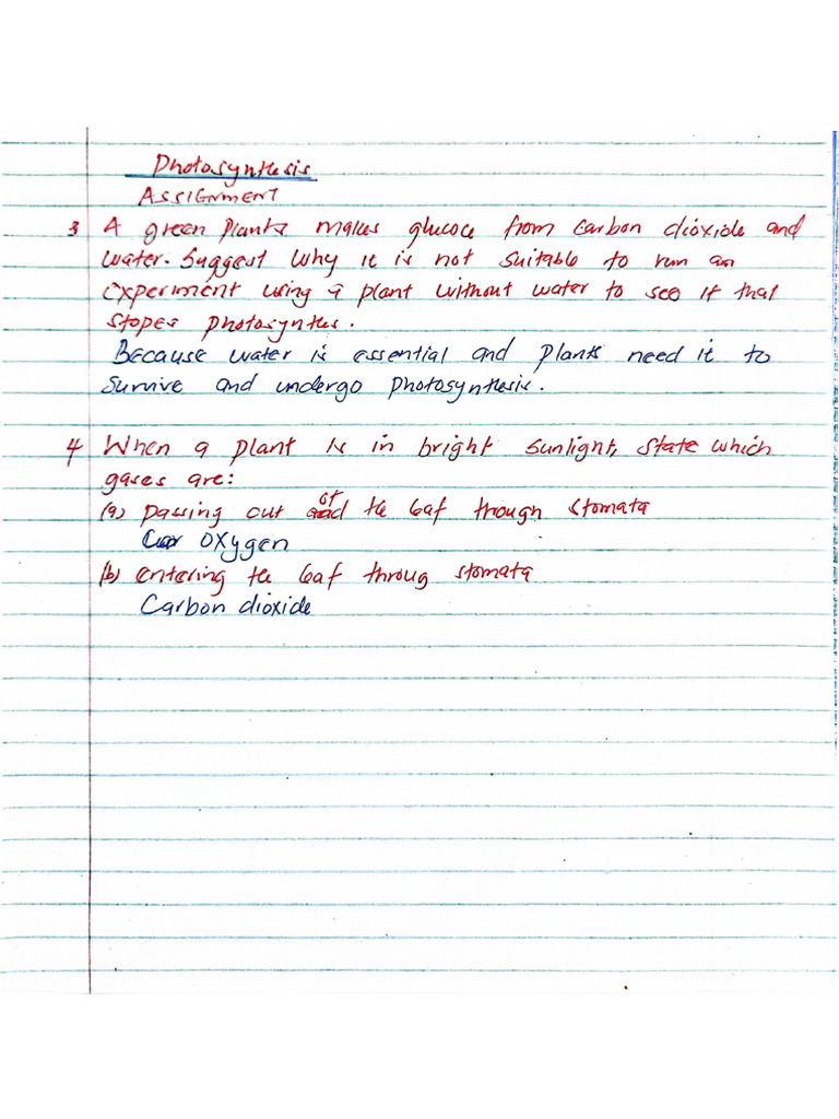 Photosynthesis Assignment - 1 | PDF