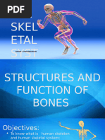 Human Skeleton All Bones Chart | PDF | Musculoskeletal System | Skeletal System