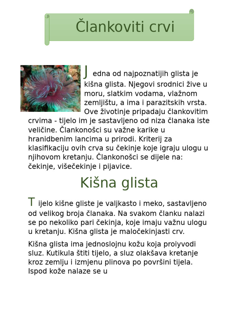 Člankoviti Crvi | PDF