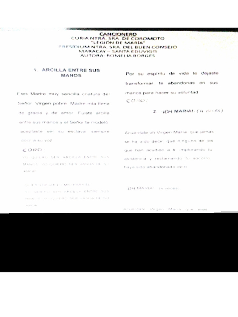 ACE Scanner_2025_01_02 rosario | PDF