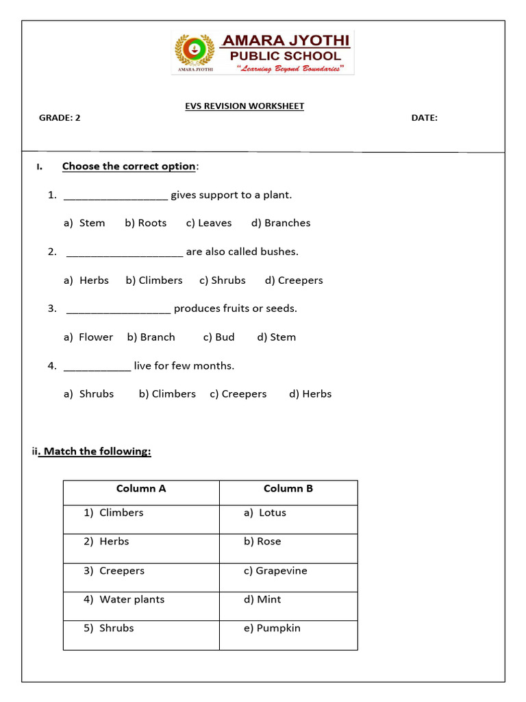 Grade 2 EVS Plant Revision Worksheet | PDF