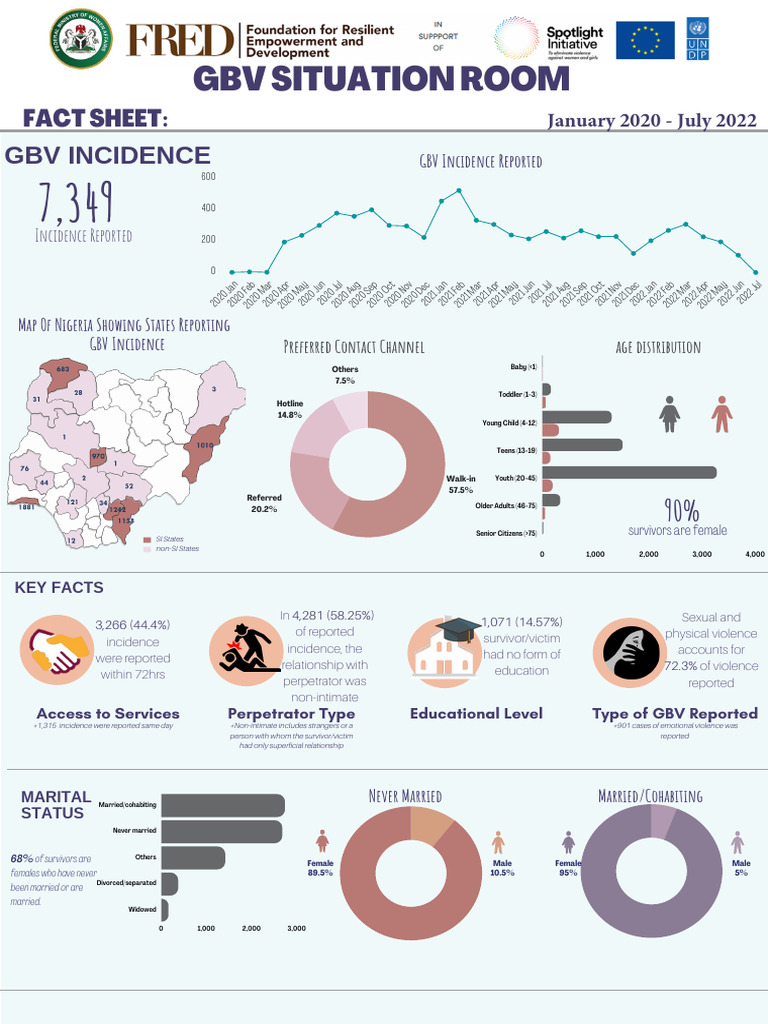 GBV FACTSHEET - Jan - 2020-July - 2022 | PDF | Problem Behavior | Crimes