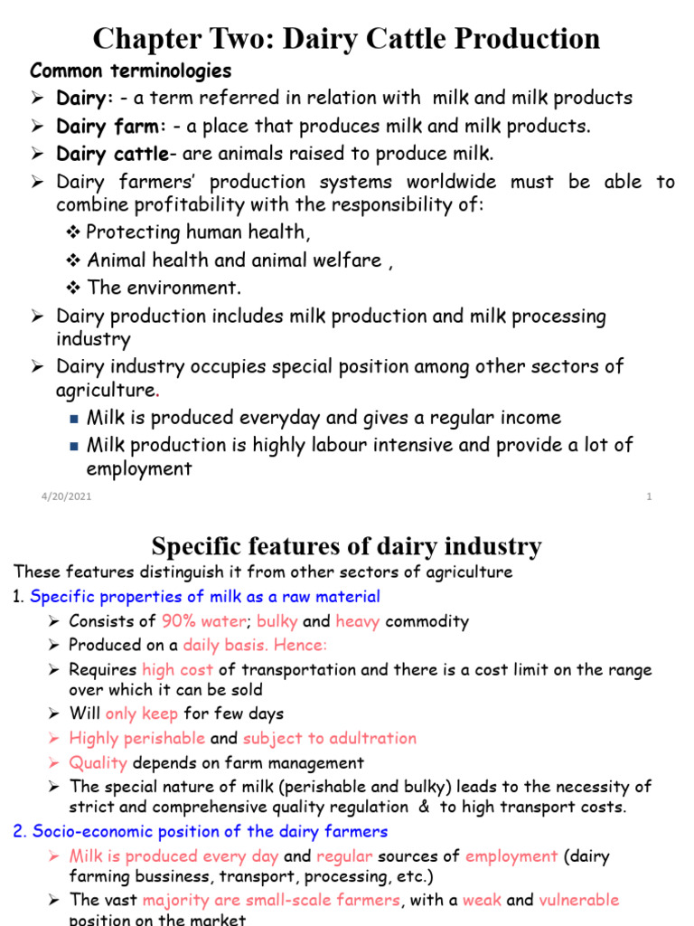 Dairy Cattle Production Guide | PDF | Ruminant | Dairy Cattle