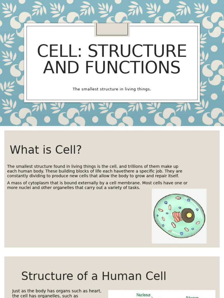 Cells Structure and Functions Science 8a | PDF