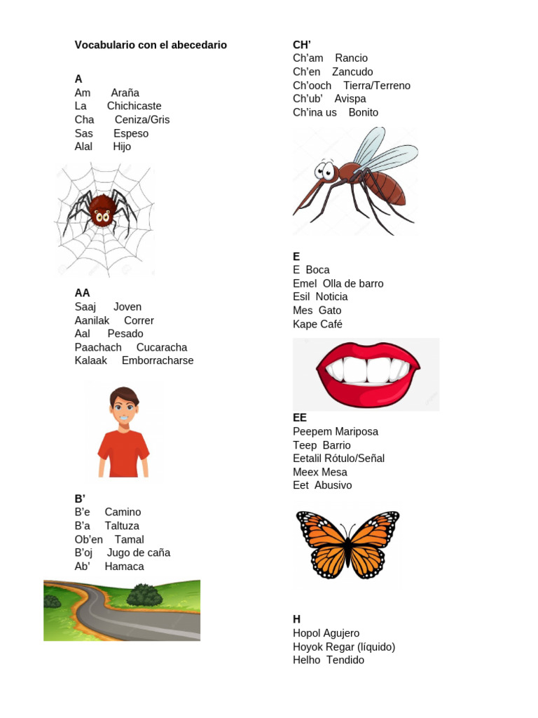 Vocabulario Con El Abecedario Q'EQCHI' | PDF