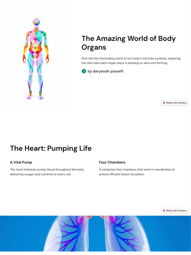 The Amazing World of Body Organs | PDF | Human Body | Digestion
