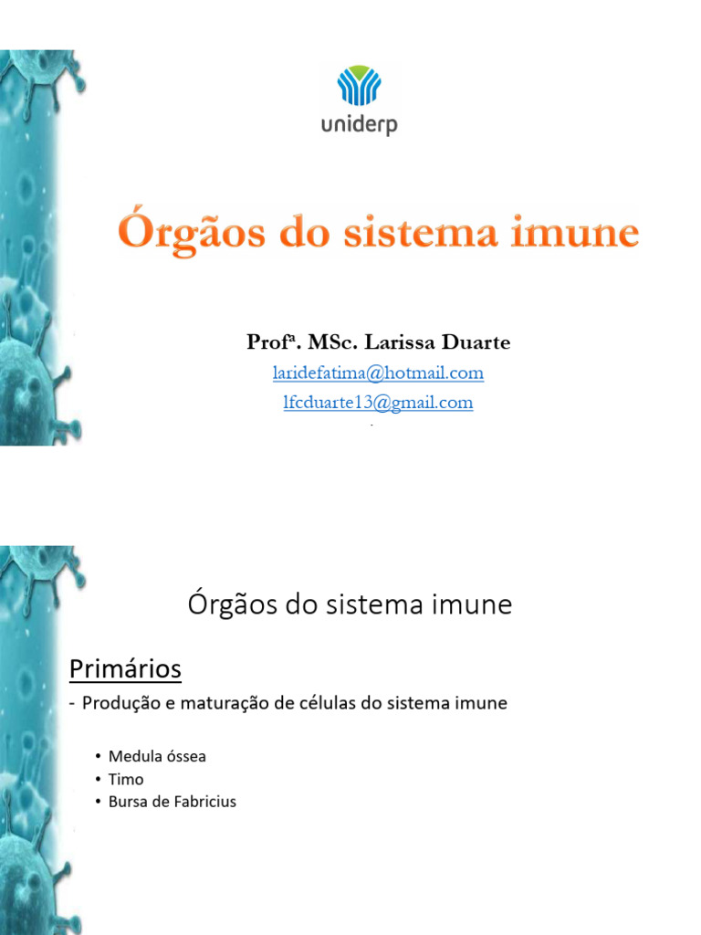 órgão do SI | PDF | Timo | Baço