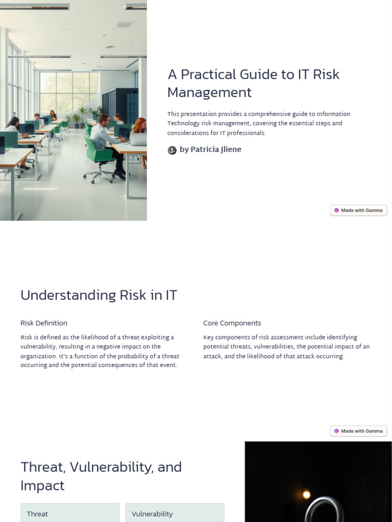 IT Risk Management: A Practical Guide | PDF | Risk Management | Risk