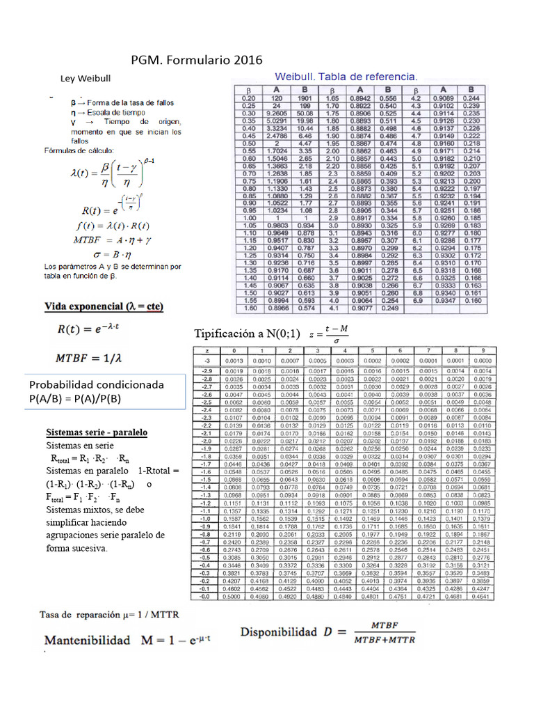 Formulario PGM | PDF