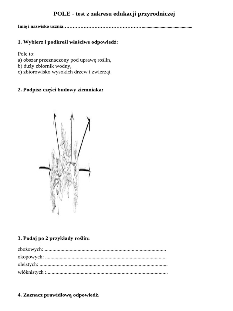 Test Pole | PDF