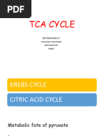 Anaplerotic and Cataplerotic Reactions of The Tca Cycle | PDF | Diet ...