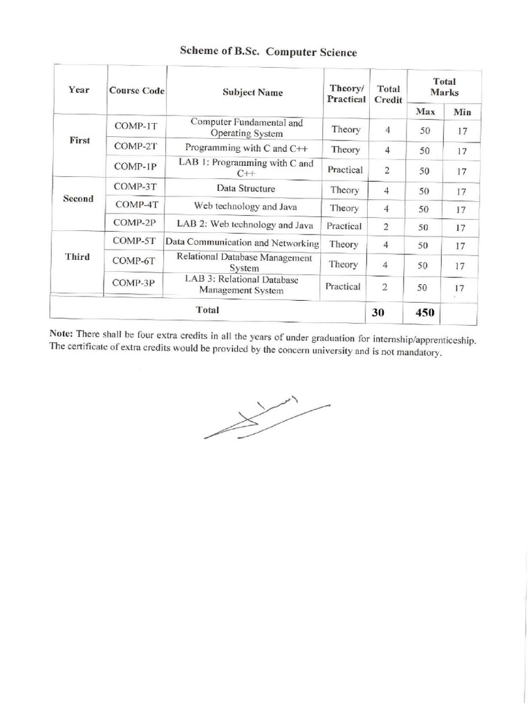 B.Sc. Computer Science | PDF