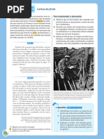 10 Textos Longos Fluencia Leitura 5ano | PDF | Cães | Bibliotecas