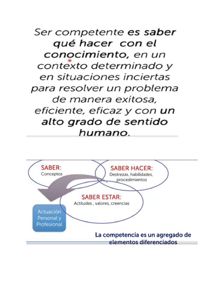 Definicion de Competencias y Proyectos | PDF